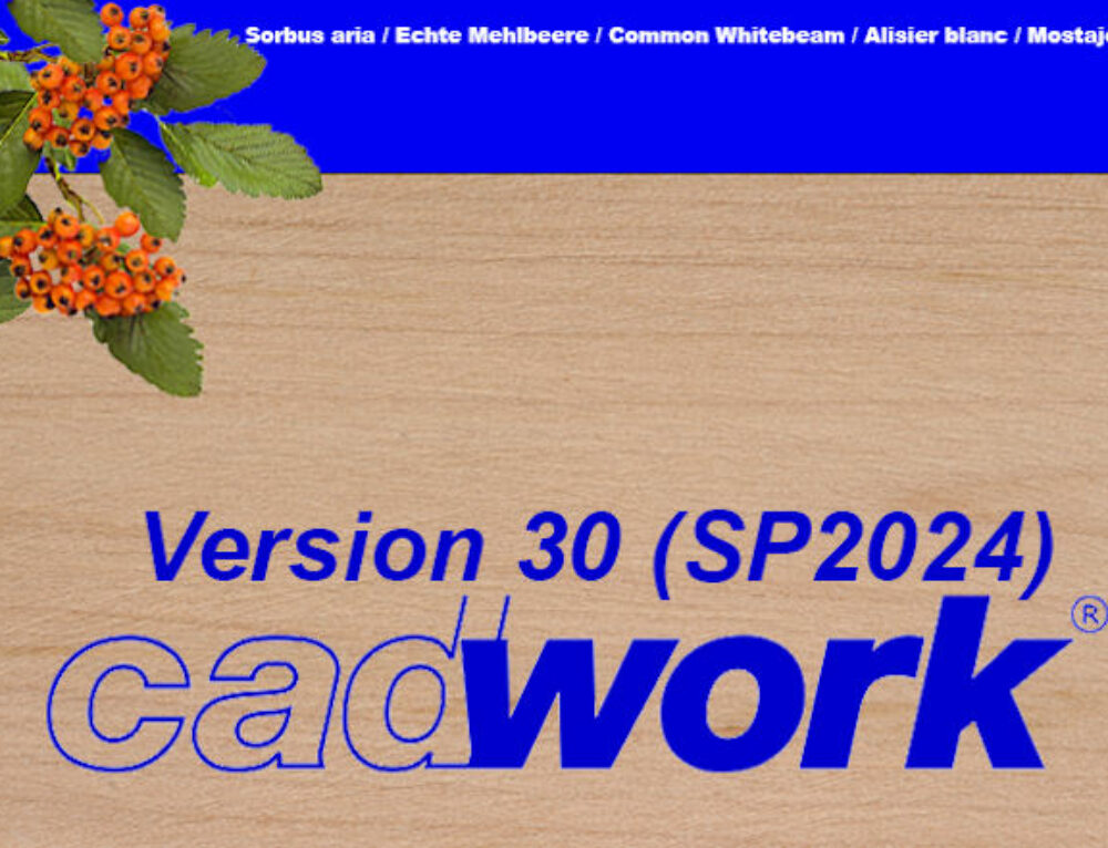News cadwork Version 2025 – Alle Infos jetzt verfügbar! - cadwork.de
